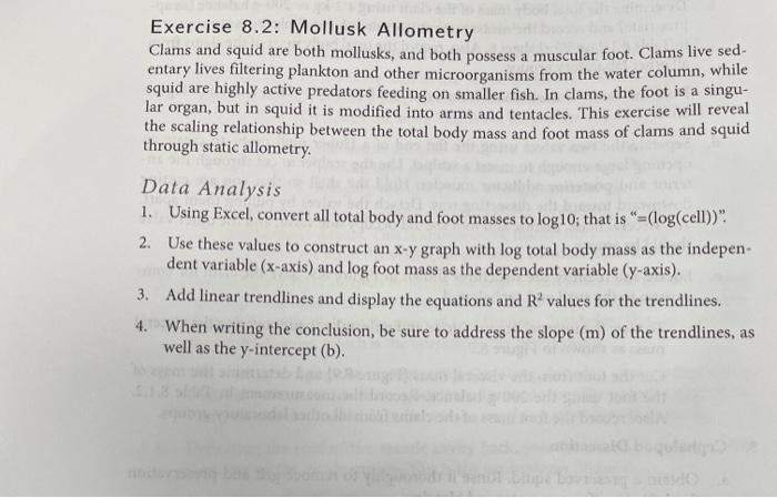 Solved Exercise 8.2: Mollusk Allometry Clams and squid are | Chegg.com