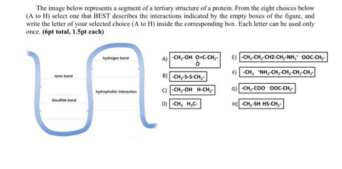 Solved The image below represents a segment of a tertiary | Chegg.com