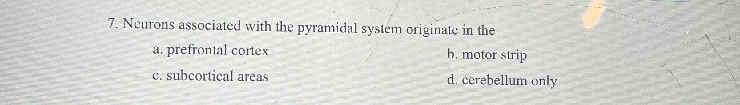 Neurons associated with the pyramidal system | Chegg.com