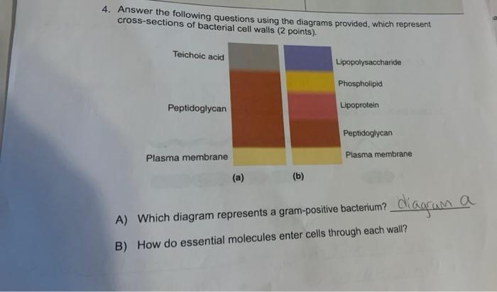 Solved 4. Answer the following questions using the diagrams | Chegg.com