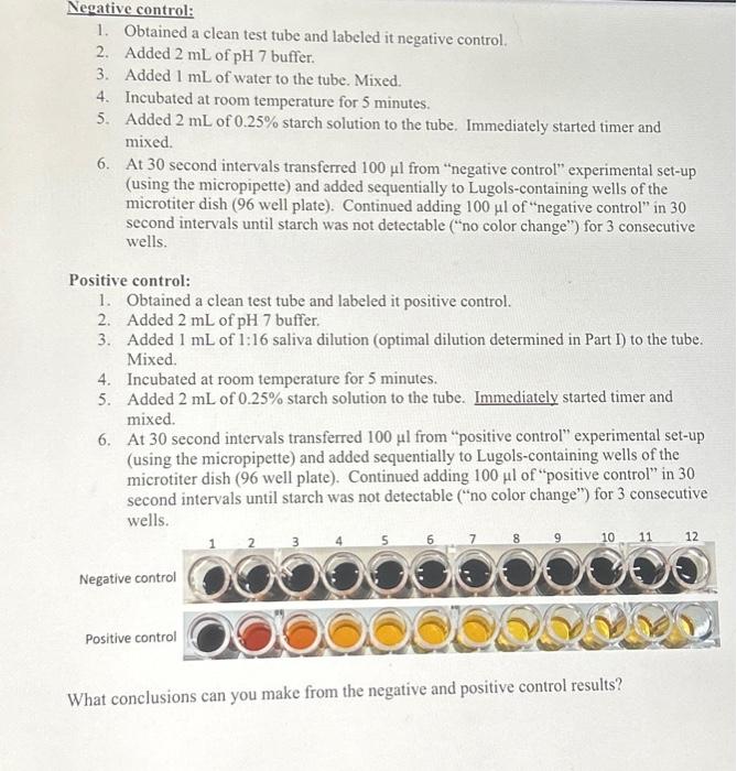 Solved what conclusion can you make from the negative and | Chegg.com