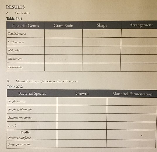 Solved RESULTS A. Gram stain Table 27.1 Bacterial Genus Gram | Chegg.com