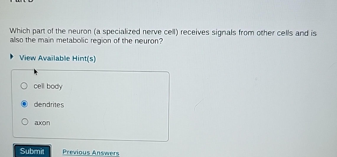 Solved Which part of the neuron (a specialized nerve cell) | Chegg.com