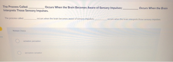 Solved The Process Called Occurs when the Brain Becomes | Chegg.com