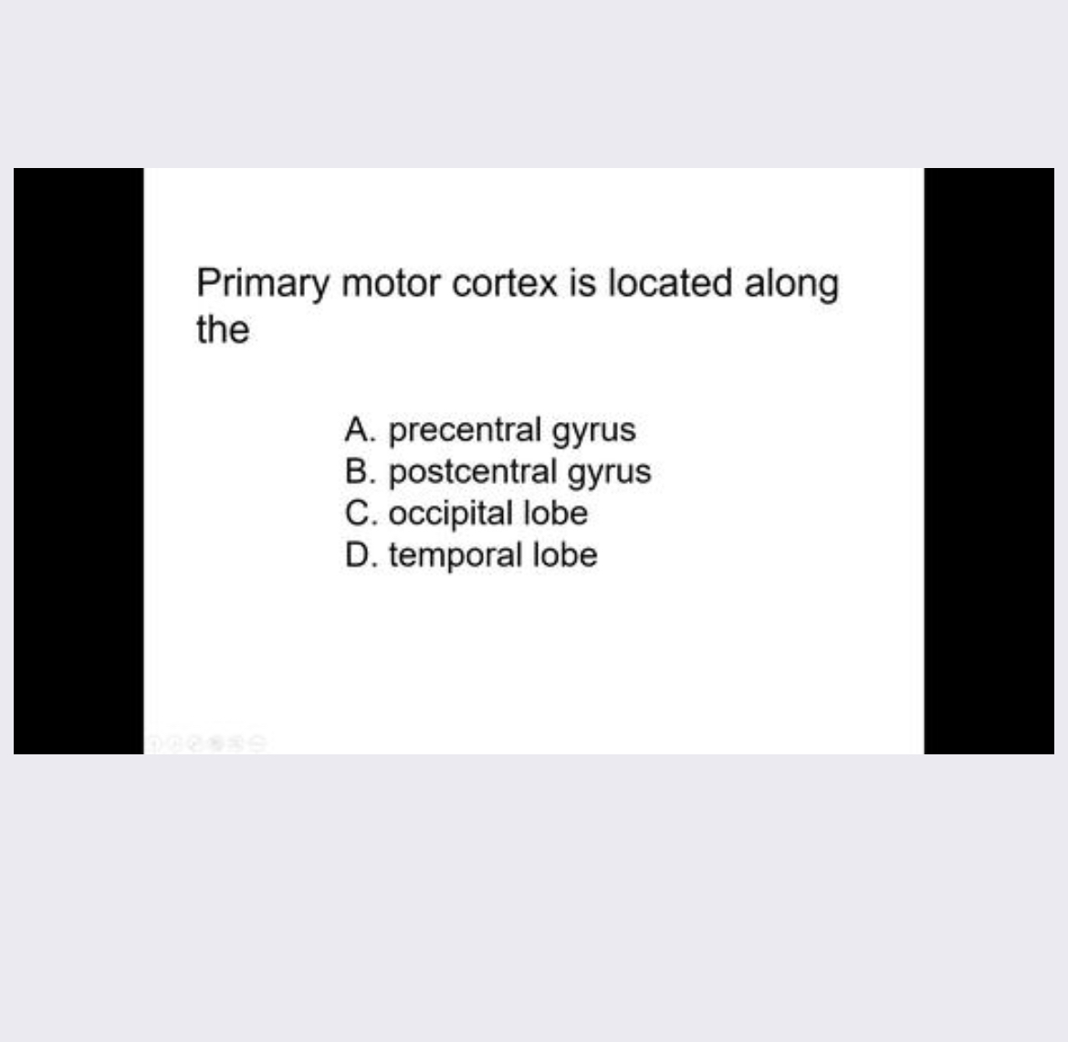 Solved Primary motor cortex is located along theA. | Chegg.com