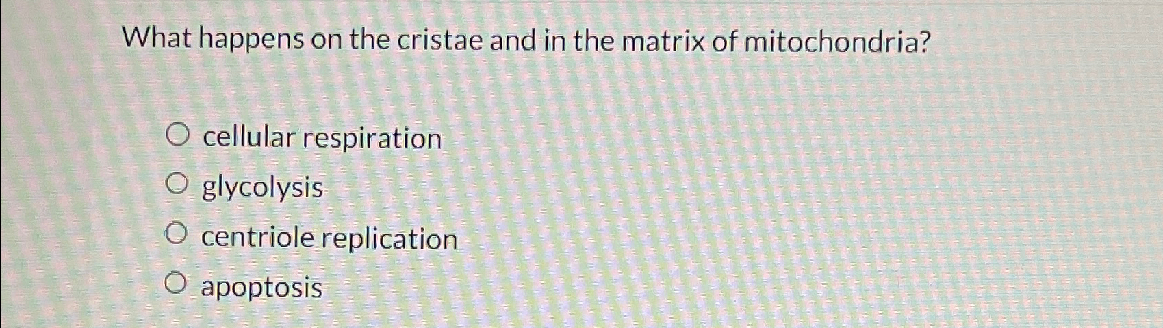Solved What happens on the cristae and in the matrix of | Chegg.com
