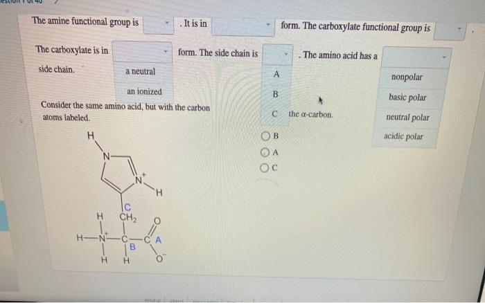 Solved consider the amino acid shown. three functional | Chegg.com