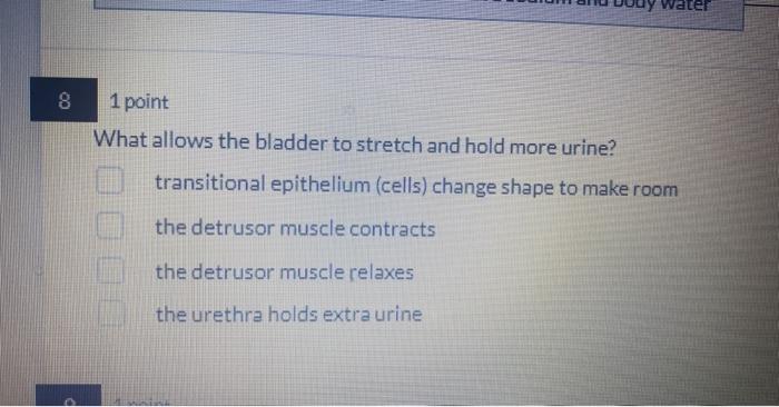 Solved 1 point What allows the bladder to stretch and hold | Chegg.com