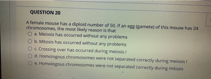 Solved QUESTION 20 A female mouse has a diploid number of | Chegg.com