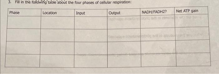 Solved 3. Fill in the following table about the four phases | Chegg.com