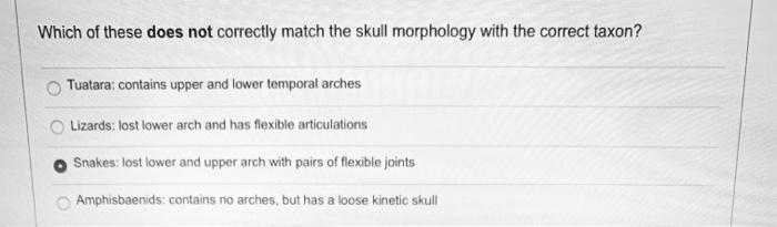Solved Which of these does not correctly match the skull | Chegg.com