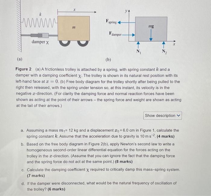 Solved A Spring Which Behaves Linearly Both In Tension And