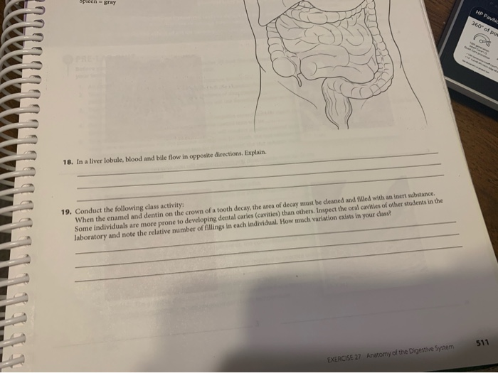 Solved 20. Identify the digestive system organs that are | Chegg.com