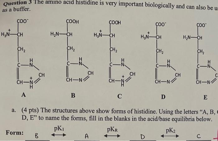 Solved Question 3 The amino acid histidine is very important | Chegg.com