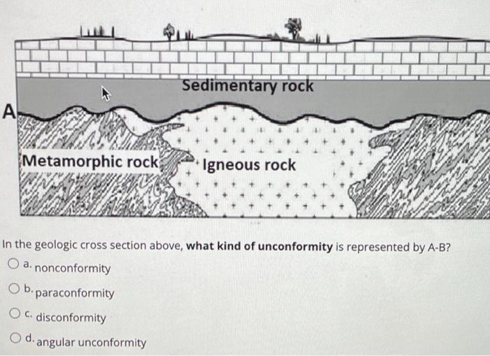Solved Sedimentary rock A Metamorphic rock Igneous rock In | Chegg.com