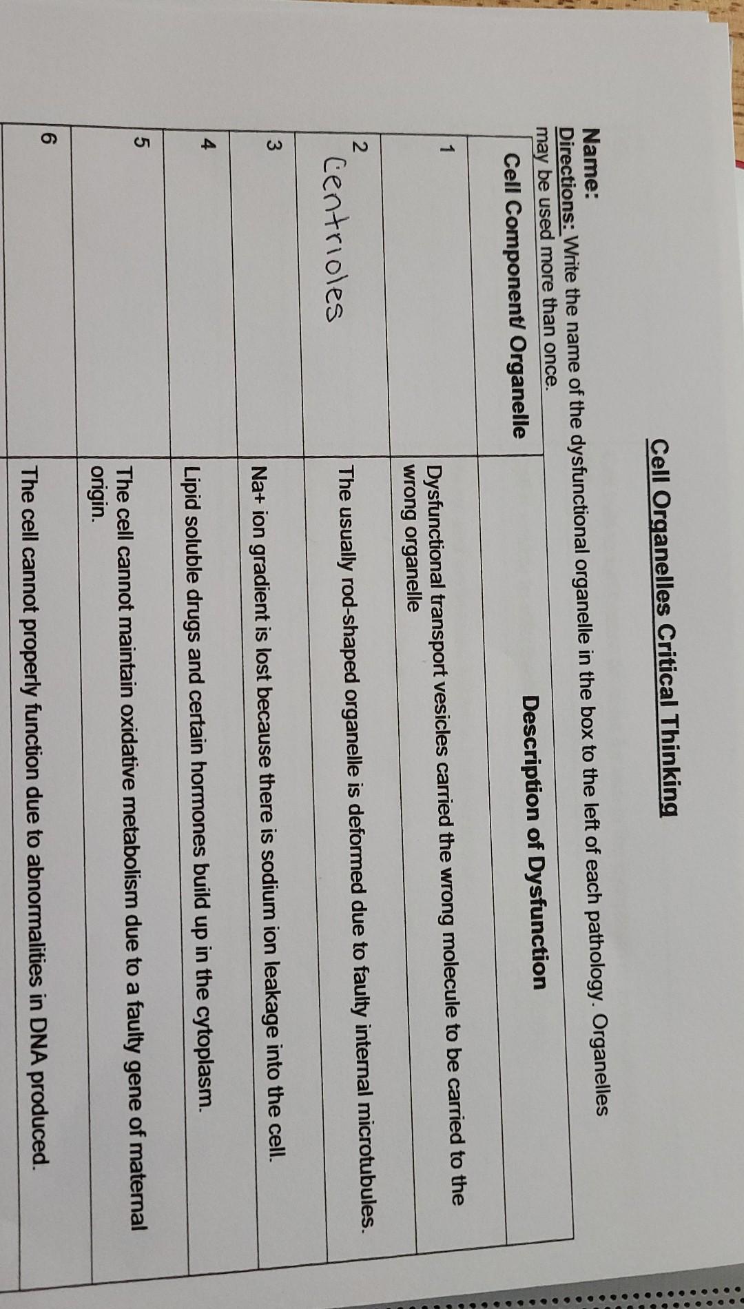 Solved Cell Organelles Critical Thinking Name: Directions: | Chegg.com