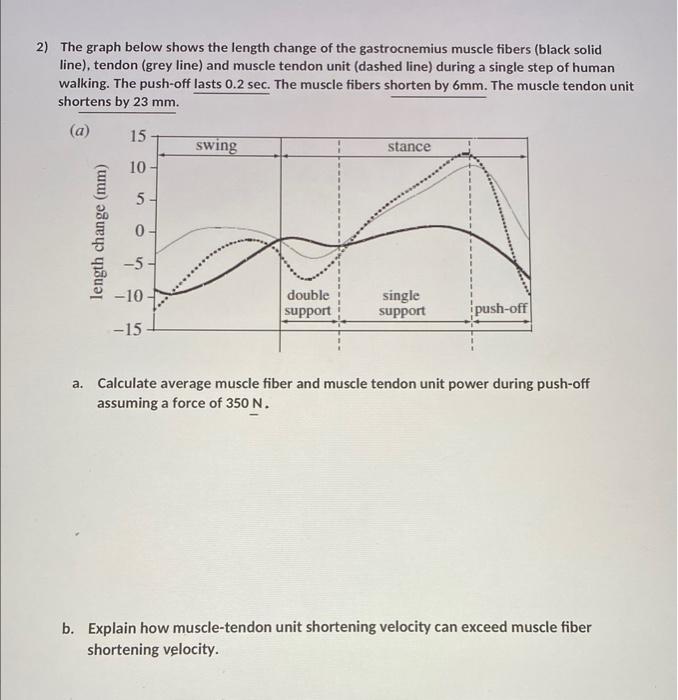 Solved 2) The graph below shows the length change of the | Chegg.com
