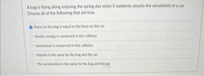 Solved A bug is flying along enjoying the spring day when it | Chegg.com