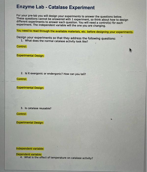 Solved Enzyme Lab - Catalase Experiment For your pre-lab you | Chegg.com