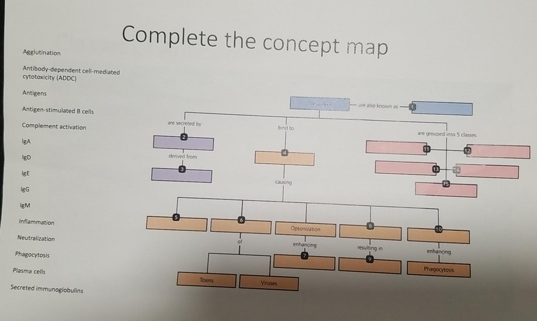 Solved Complete the concept map Agglutination | Chegg.com