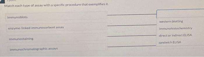 Solved Match each type of assay with a specific procedure | Chegg.com