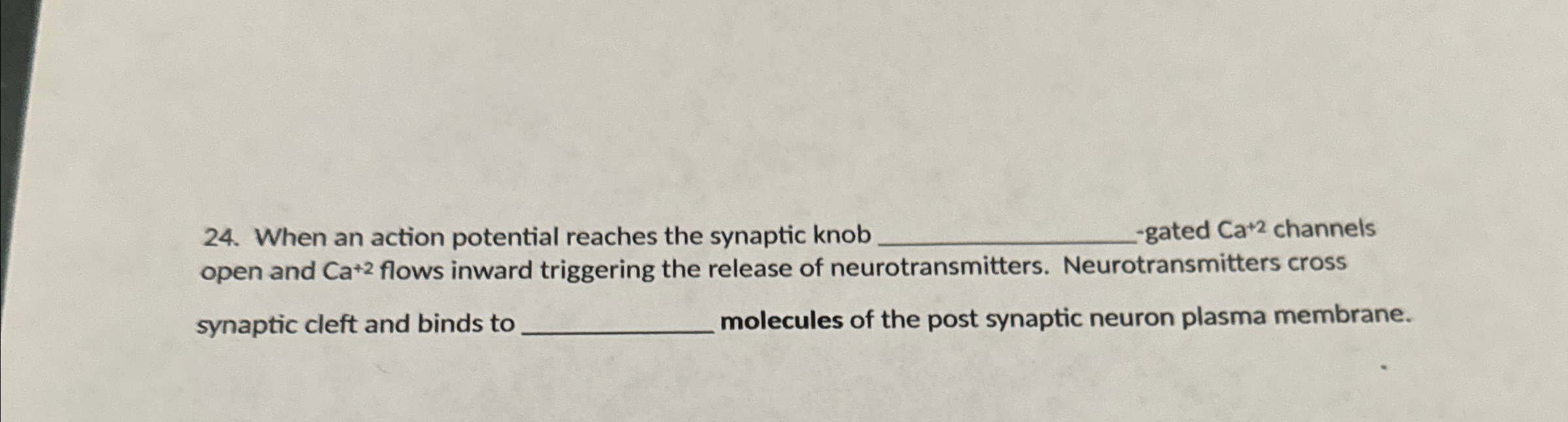 Solved When an action potential reaches the synaptic knob | Chegg.com