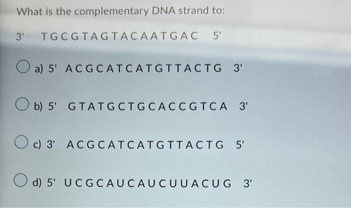 Solved What is the complementary DNA strand to: 3' | Chegg.com
