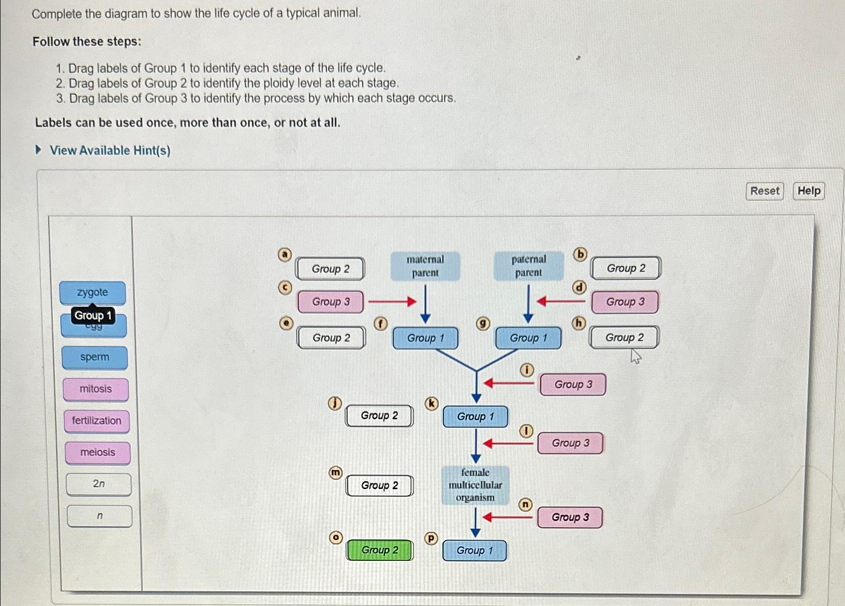 Solved Complete the diagram to show the life cycle of a | Chegg.com