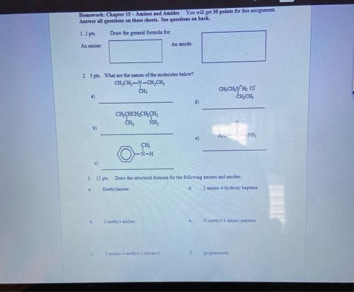 Solved Homework: Chapter 15 - Amines and Amides you will get | Chegg.com