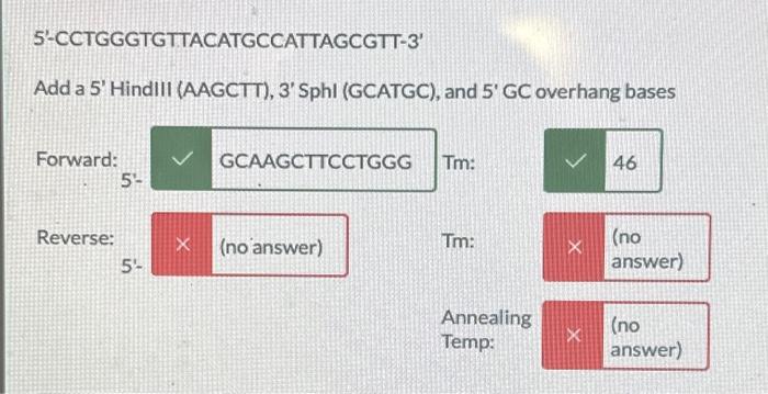 Solved You wish to amplify the DNA fragments below and add | Chegg.com