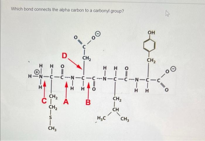 Solved This amino acid is ,do H,N-CH-C-o CH HỆ Heç 'CH Н.С | Chegg.com