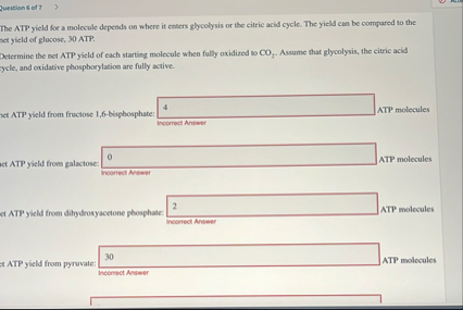 Solved 2uertion 6 ﻿of 7The ATP yield for a molecule depends | Chegg.com