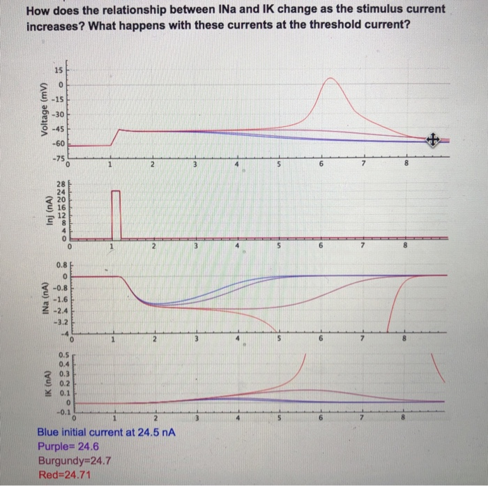 Solved How does the relationship between INa and IK change | Chegg.com