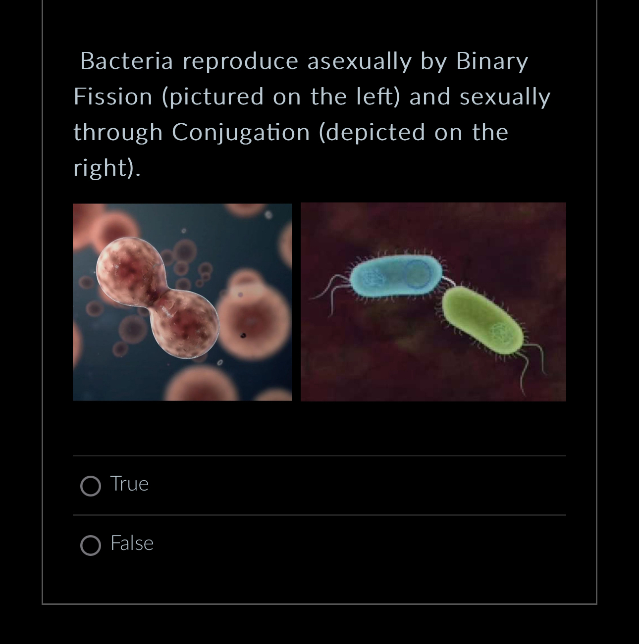 Solved Bacteria Reproduce Asexually By Binary Fission
