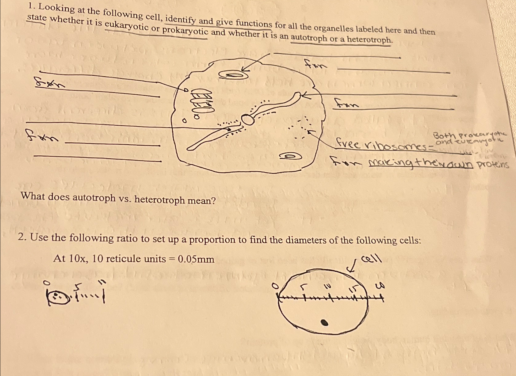 Solved Looking at the following cell, identify and give | Chegg.com