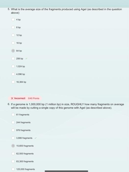Solved can you show step by step calculation the answer is | Chegg.com
