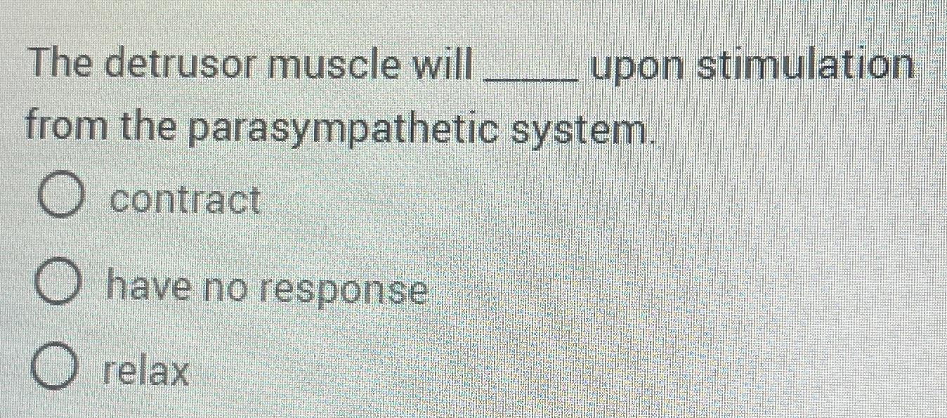Solved The detrusor muscle will upon stimulation from the | Chegg.com