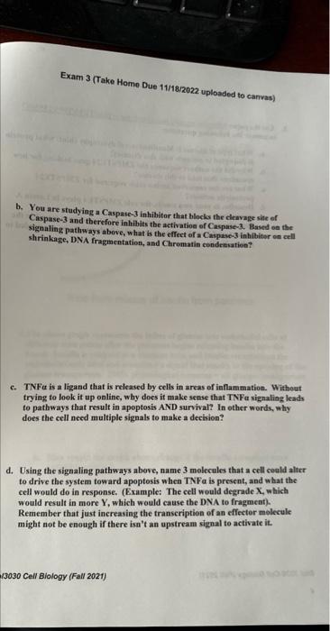 Solved Exam 3 (Take Home Due 11/18/2022 uploaded to canvas) | Chegg.com