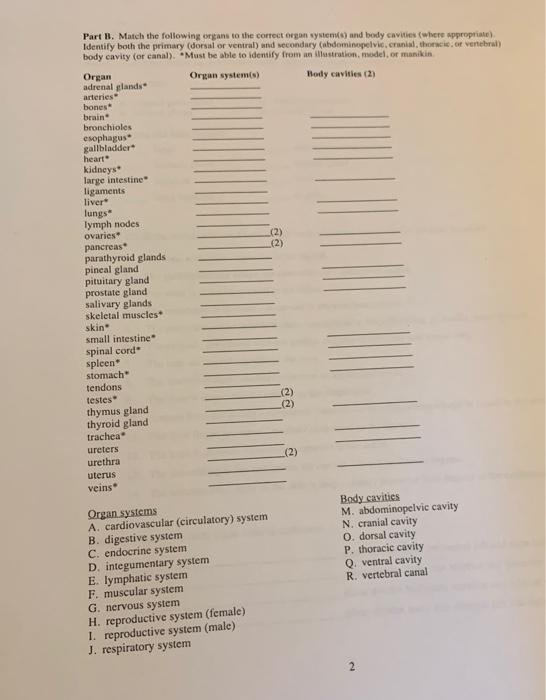 Solved Part B. Match the following organs to the correct or | Chegg.com
