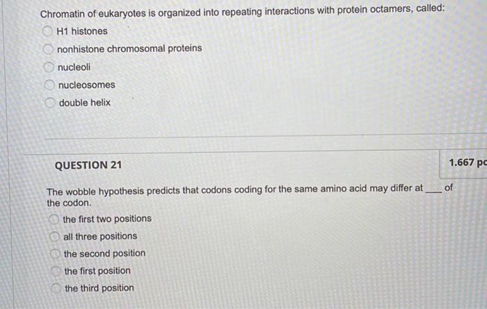 Solved QUESTION 34 What is the function of the sigma subunit | Chegg.com