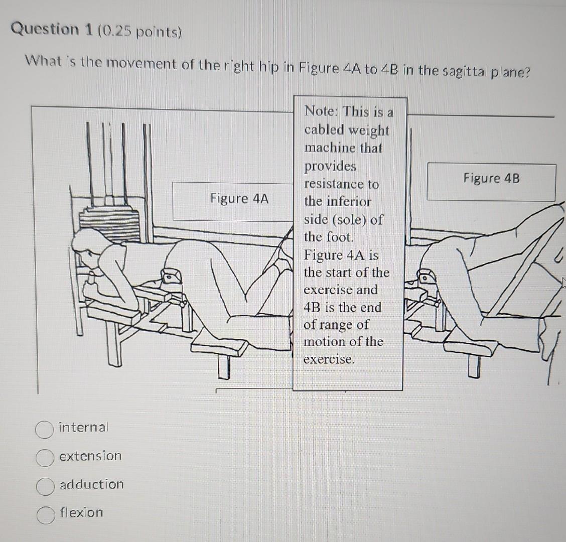 Solved What is the movement of the right hip in Figure 4A to | Chegg.com