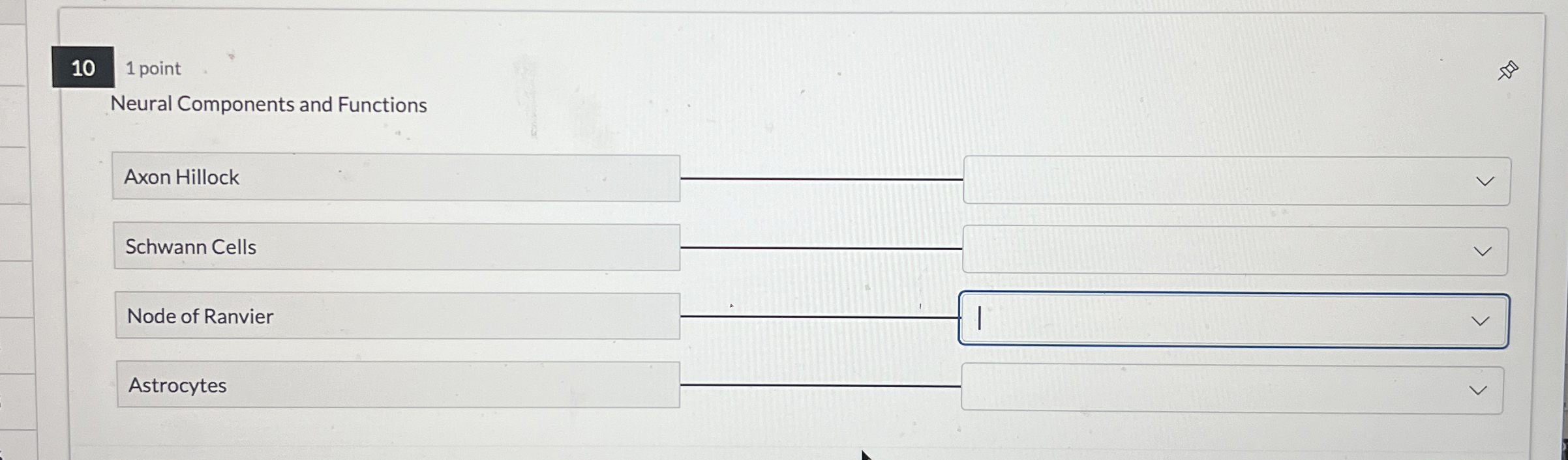 Solved Neural Components and FunctionsSchwann CellsNode of | Chegg.com