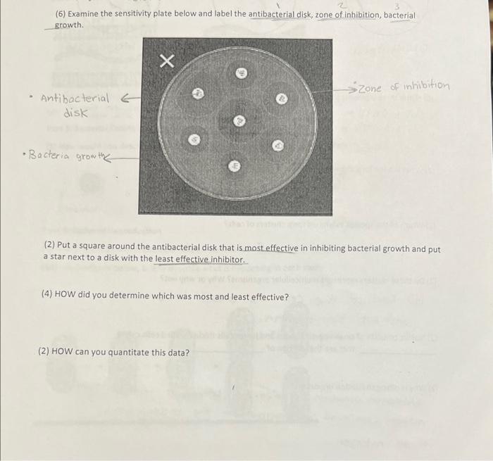 Solved (6) Examine the sensitivity plate below and label the | Chegg.com
