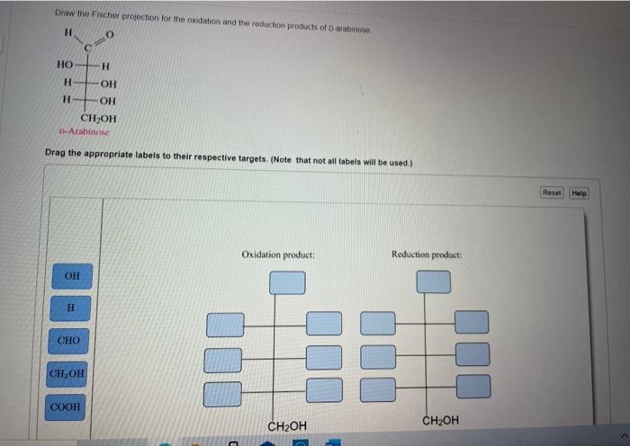 Solved Draw the Fischer projection for the oxidation and the | Chegg.com