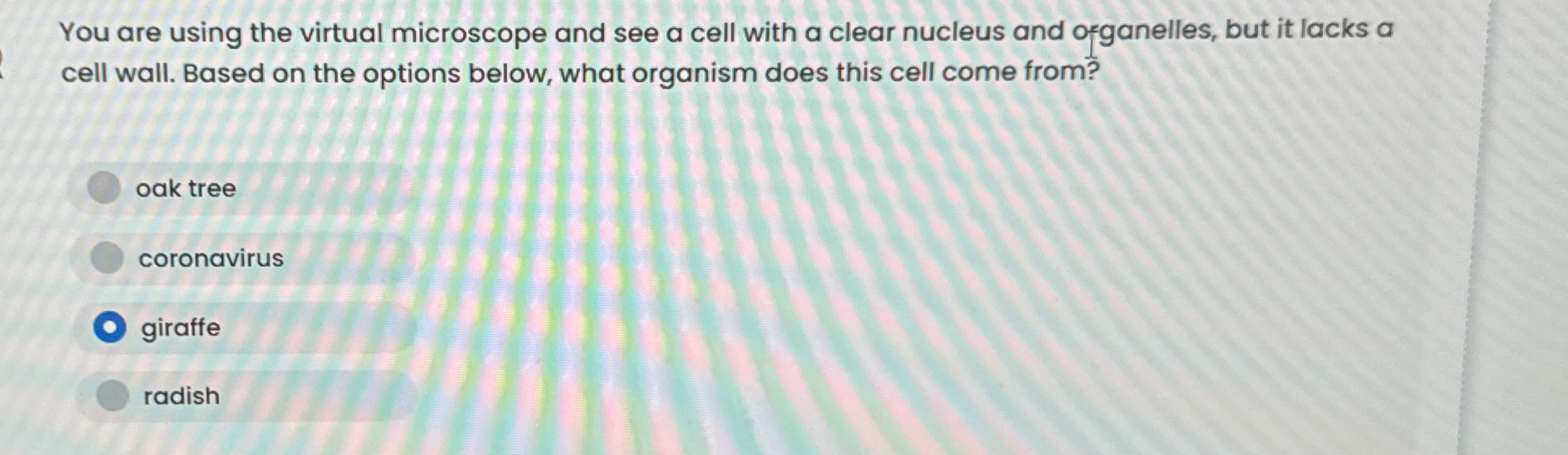 Solved You are using the virtual microscope and see a cell | Chegg.com
