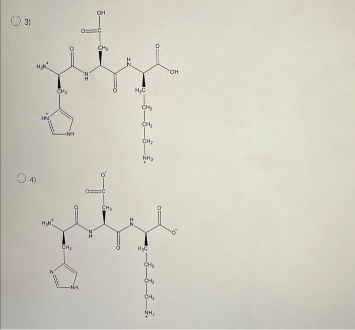 Solved Which of the following is structurally correct at | Chegg.com