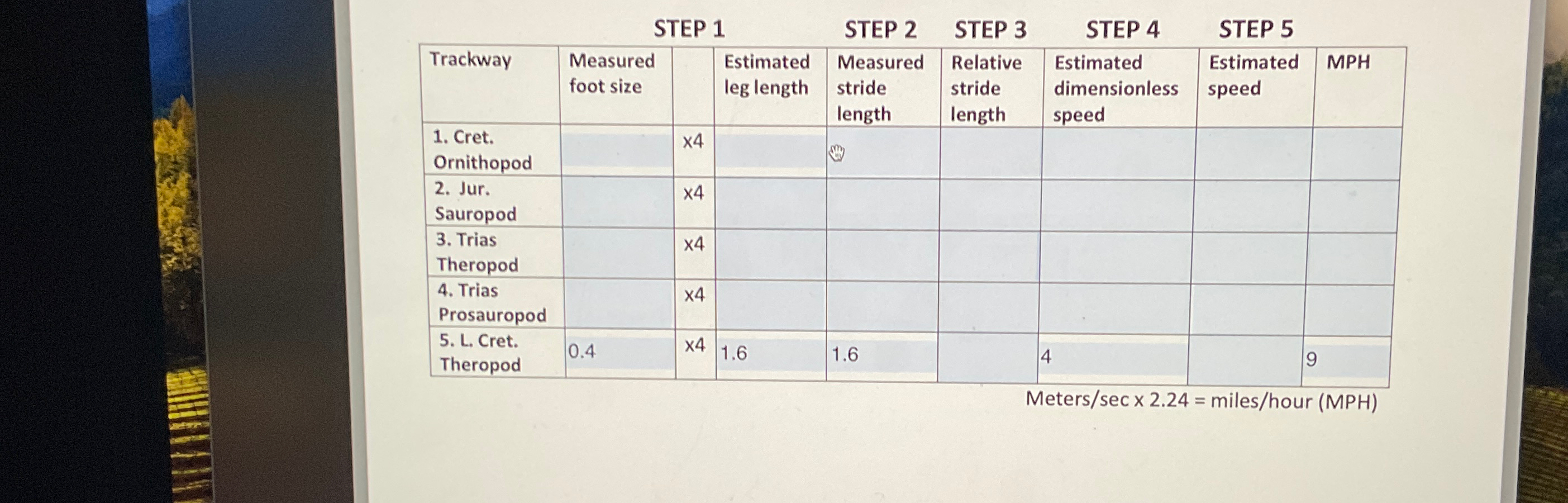 Solved \table[[,STEP 1,STEP 2,STEP 3,STEP 4,STEP | Chegg.com