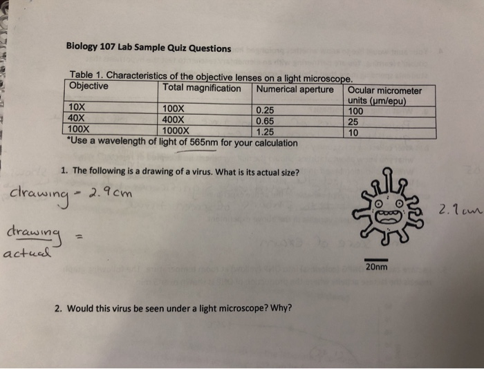 Solved Biology 107 Lab Sample Quiz Questions 14 T Table 1. | Chegg.com