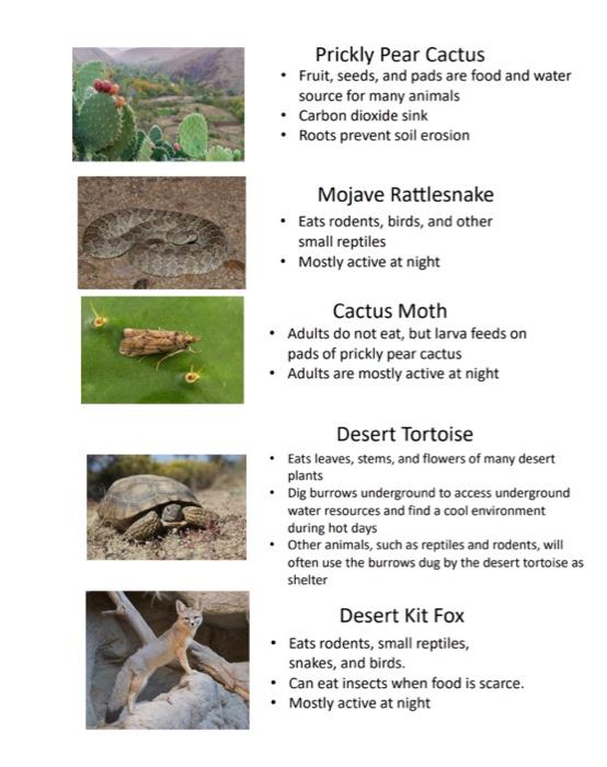 Solved 4. Draw a food web that depicts the flow of energy | Chegg.com