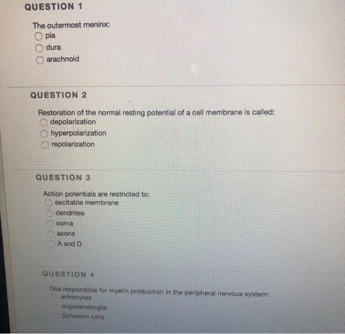 Solved QUESTION 1 The outermost meninx: pia dura arachnoid | Chegg.com